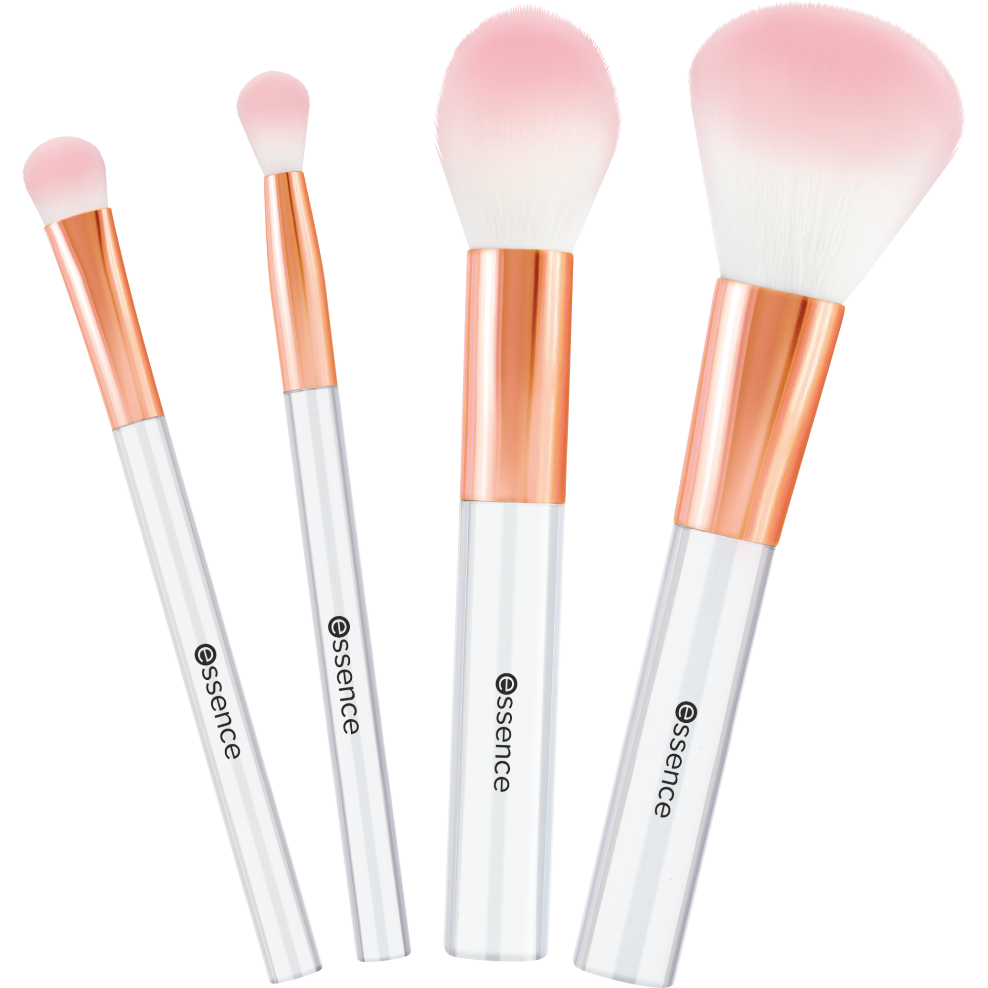 Emily Makeup Brushes | Saubhaya Makeup