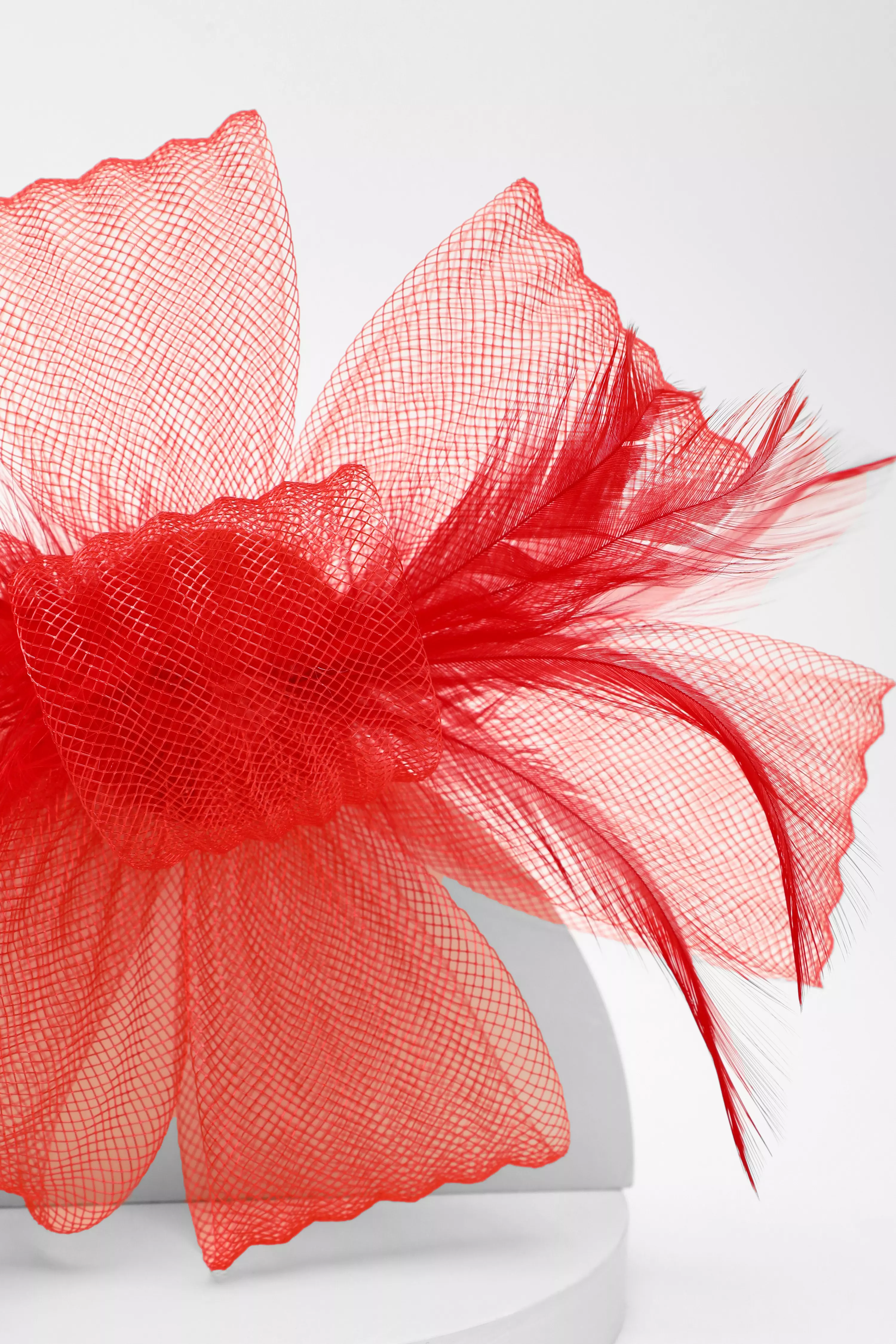 Red Feather Clip Fascinator - QUIZ Clothing