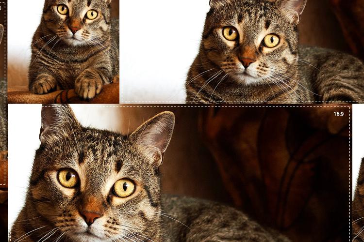 How to Optimize Your Images: Part 1 - The Srcset Attribute