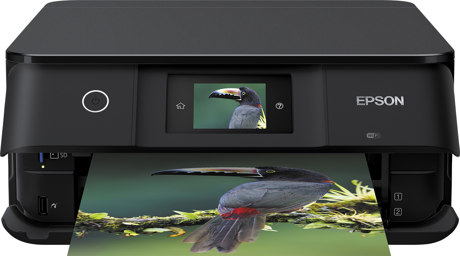 Expression Photo XP-8505 | Consumer | Inkjet Printers | Printers ...