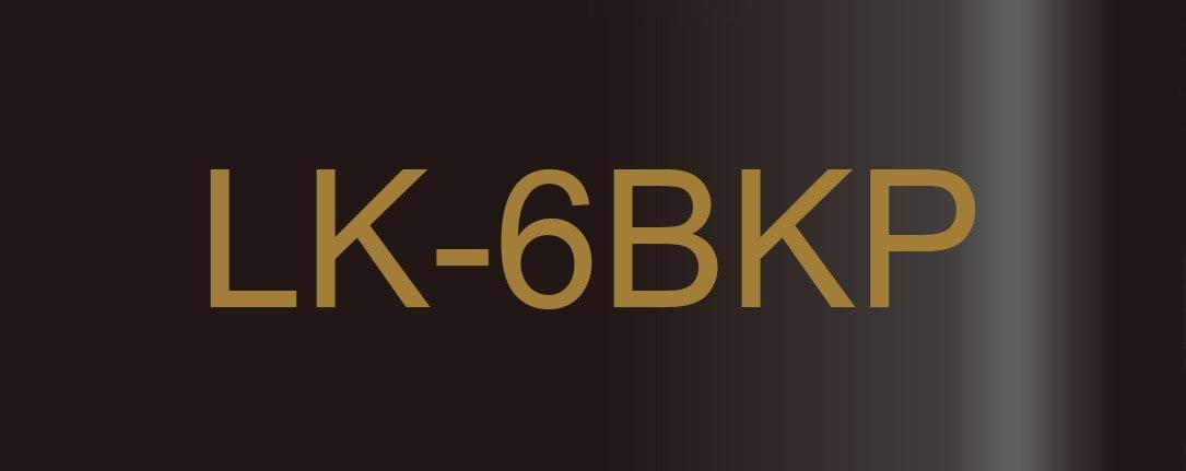 Metallic Tape – Black/Gold 24mm(9m) – LK-6BKP | Consumabili per ...