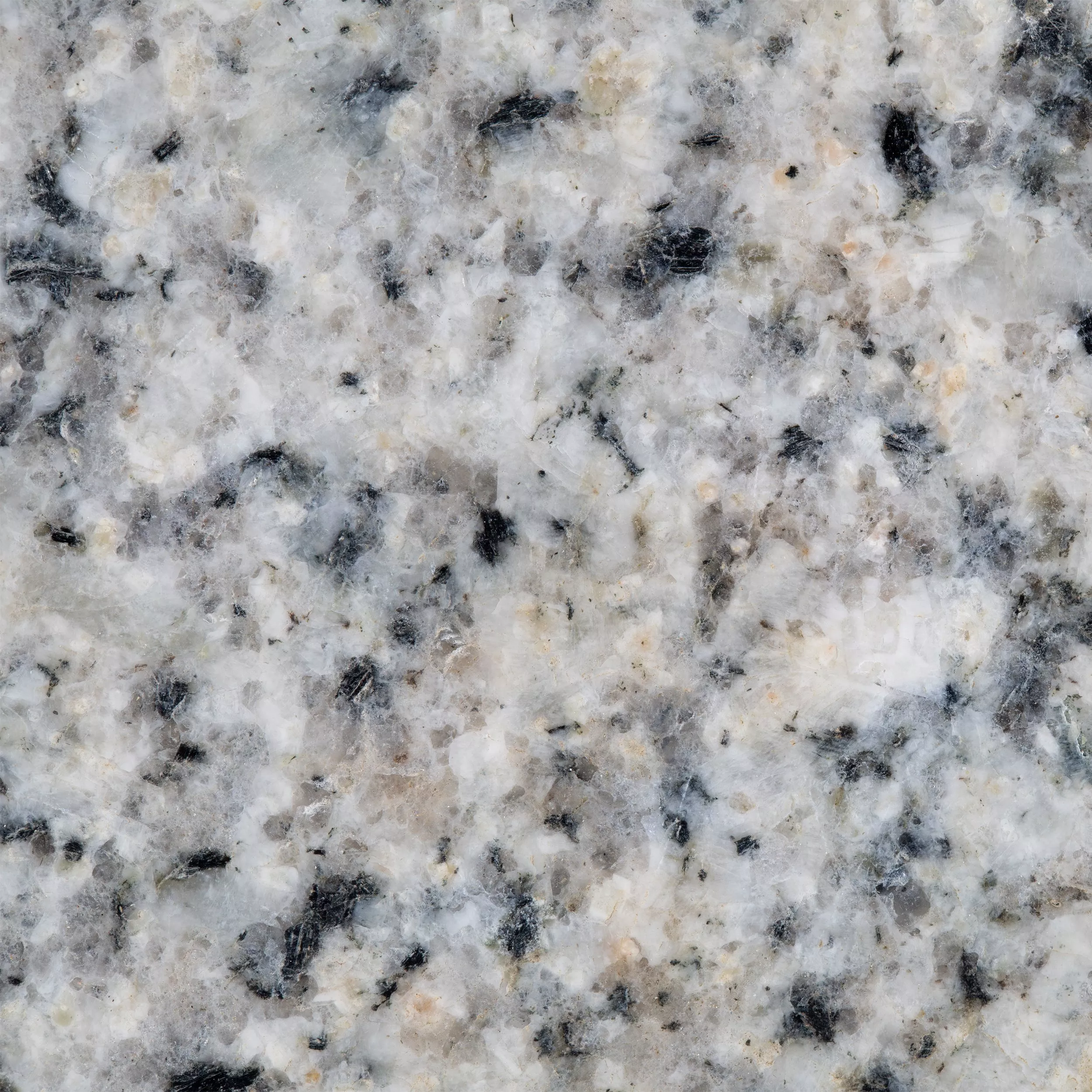 Ready To Install Atlas Granite Slab Includes Backsplash | Floor and Decor