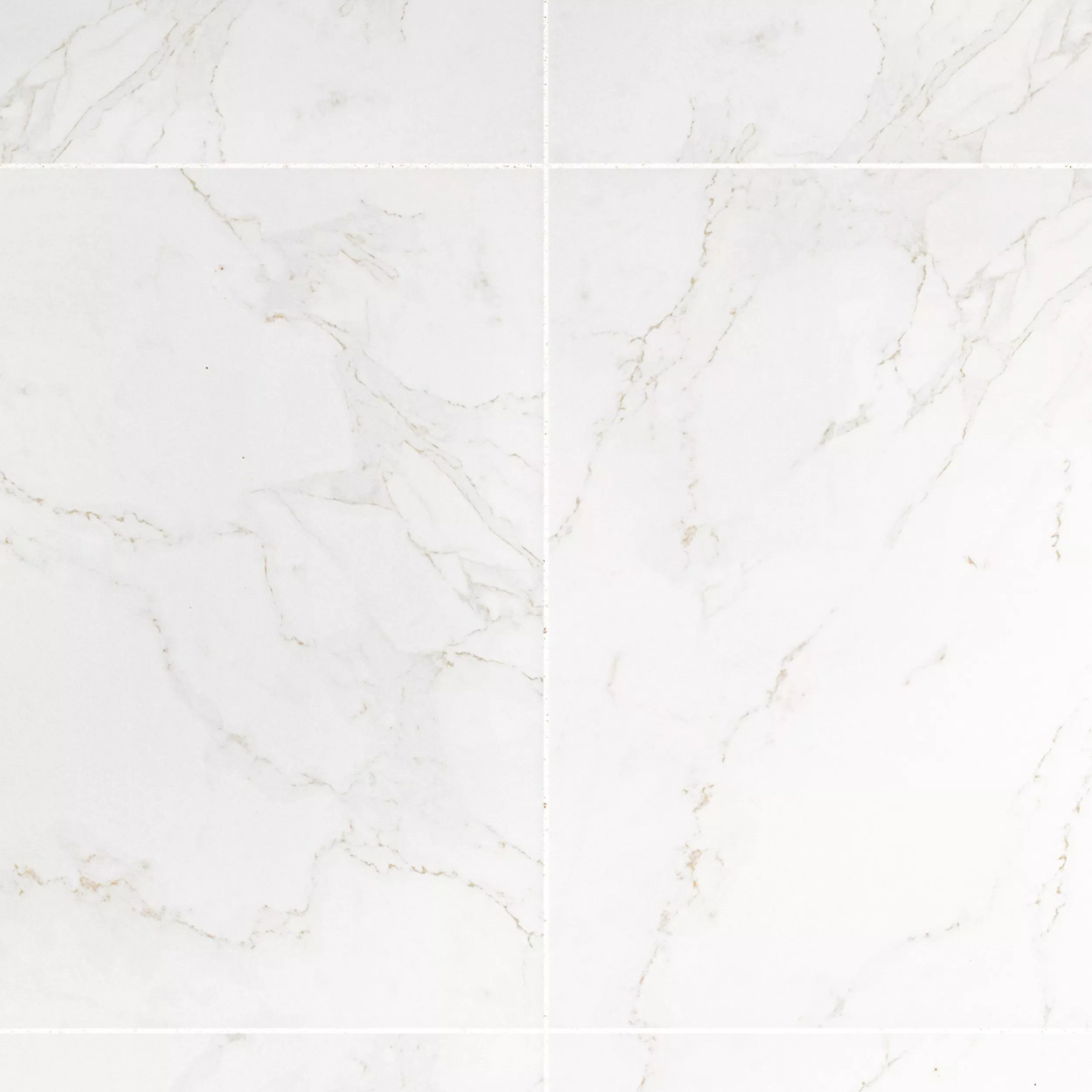 Carlini Bianca Polished Porcelain Tile | Floor and Decor