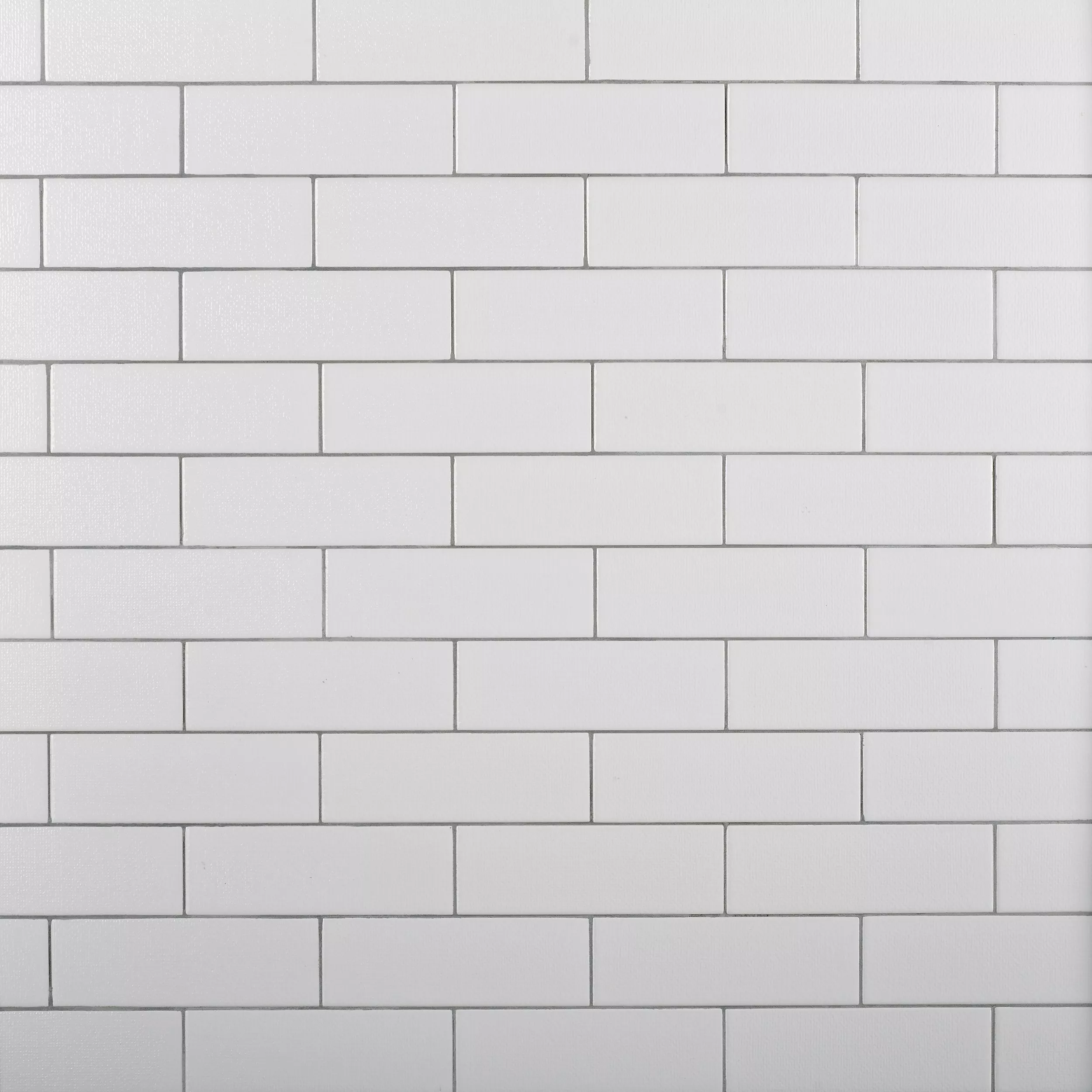 Artic Gleam Ceramic Tile | Floor and Decor