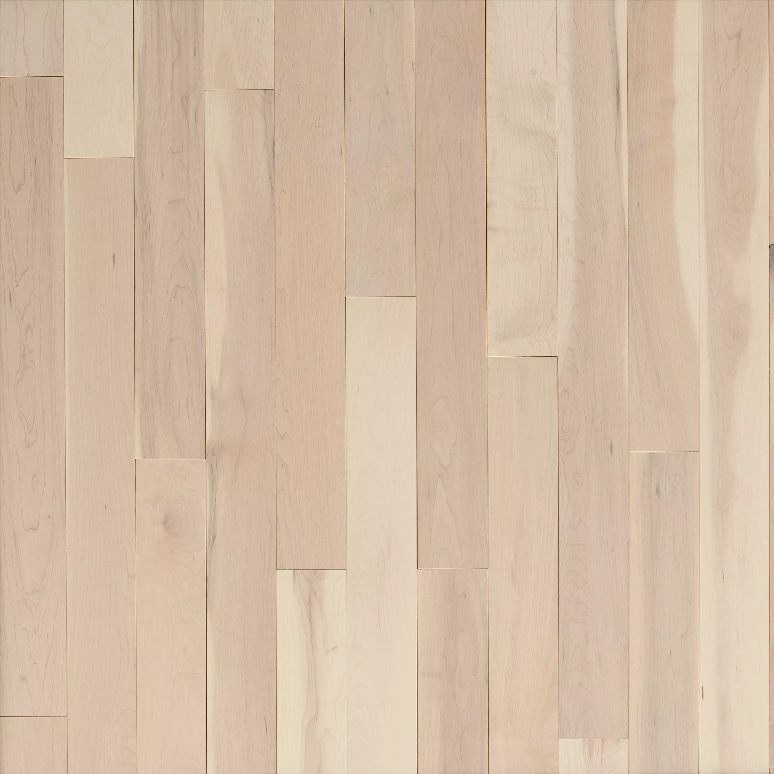 Seamless Maple Wood Floor Texture