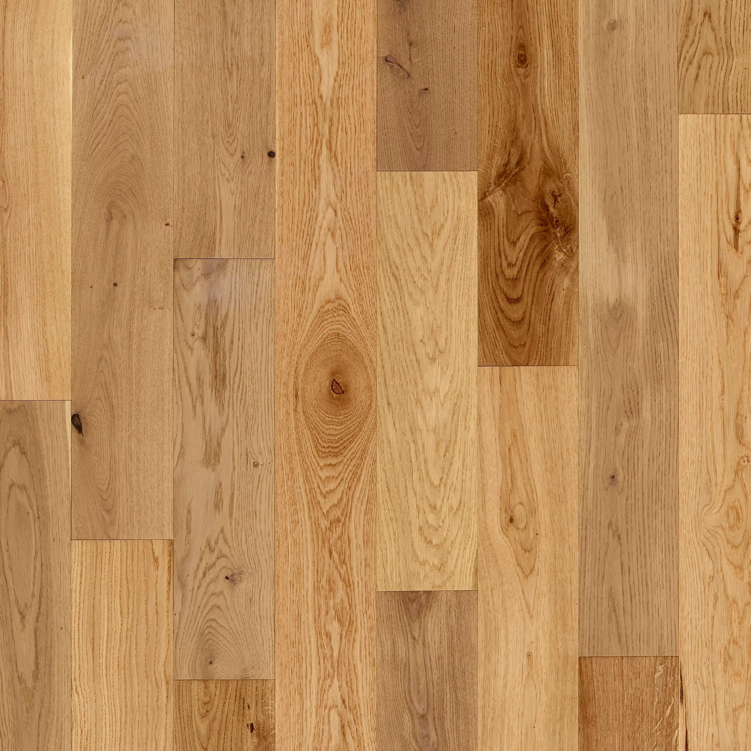 Riga White Oak Wire-Brushed Solid Hardwood | Floor and Decor
