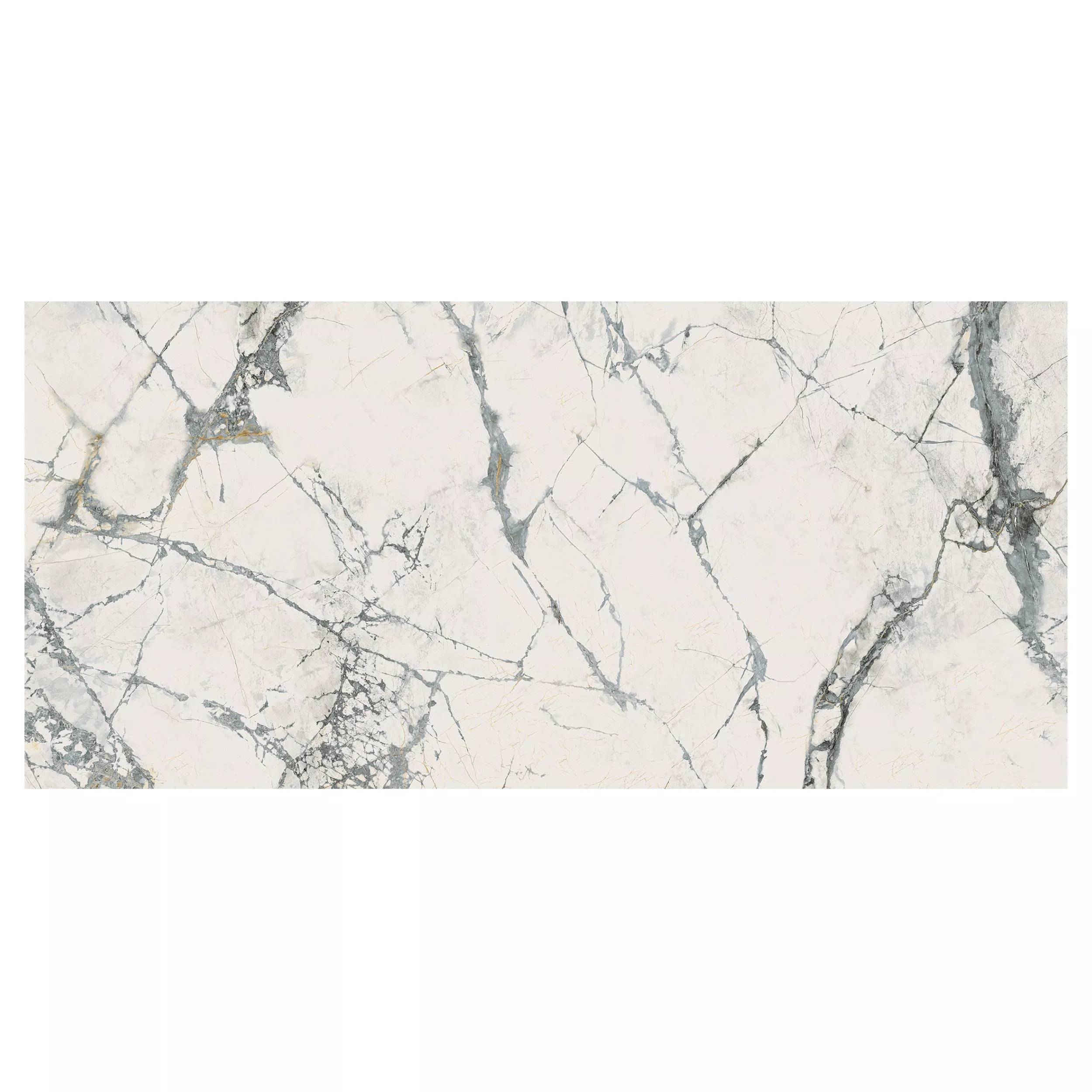 Sample - Rialto Grand Polished Porcelain Slab | Floor and Decor