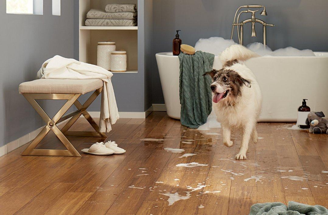 Techtanium Plus | Floor & Decor