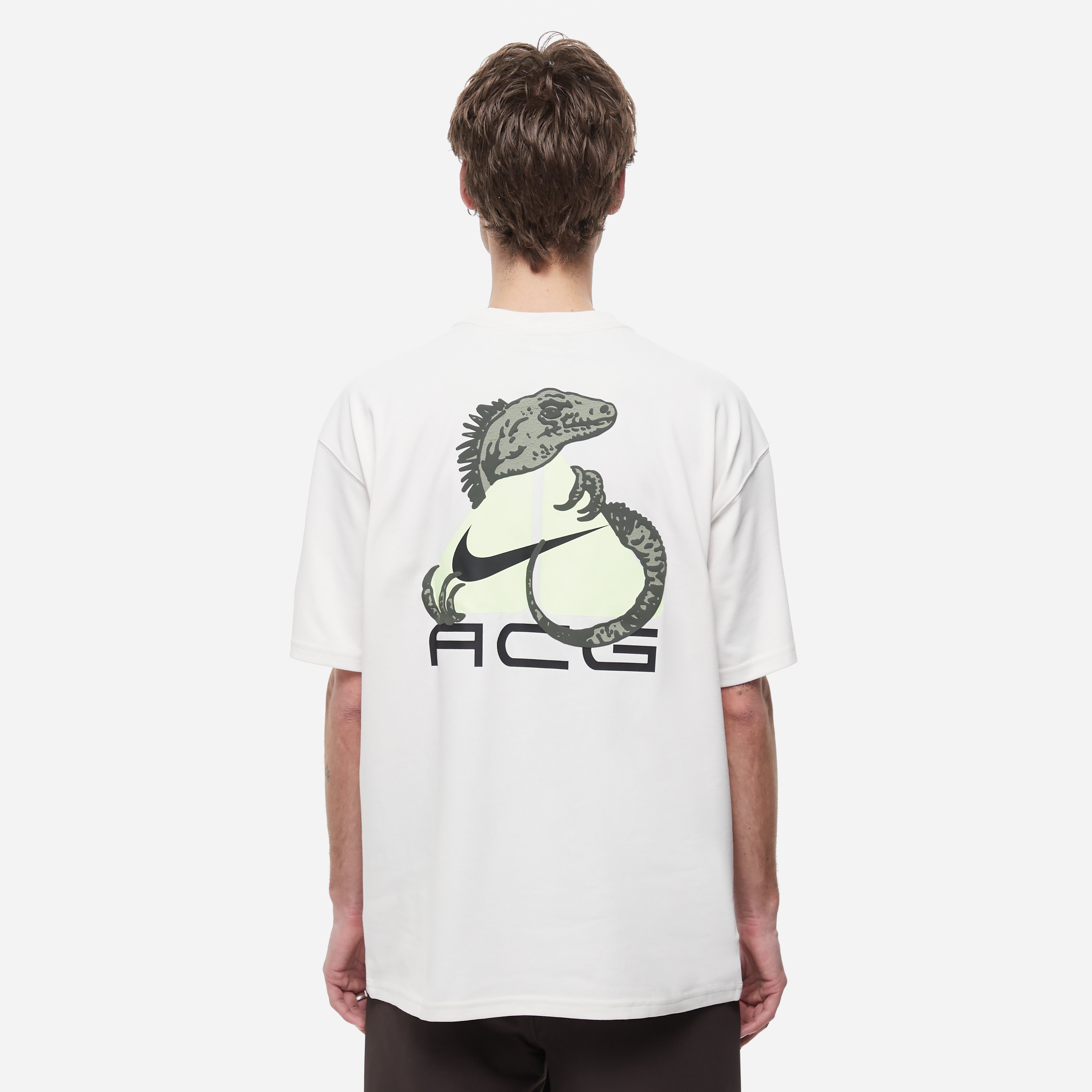Ecru Tint Nike ACG Iguana Dri-FIT T-Shirt | HIP