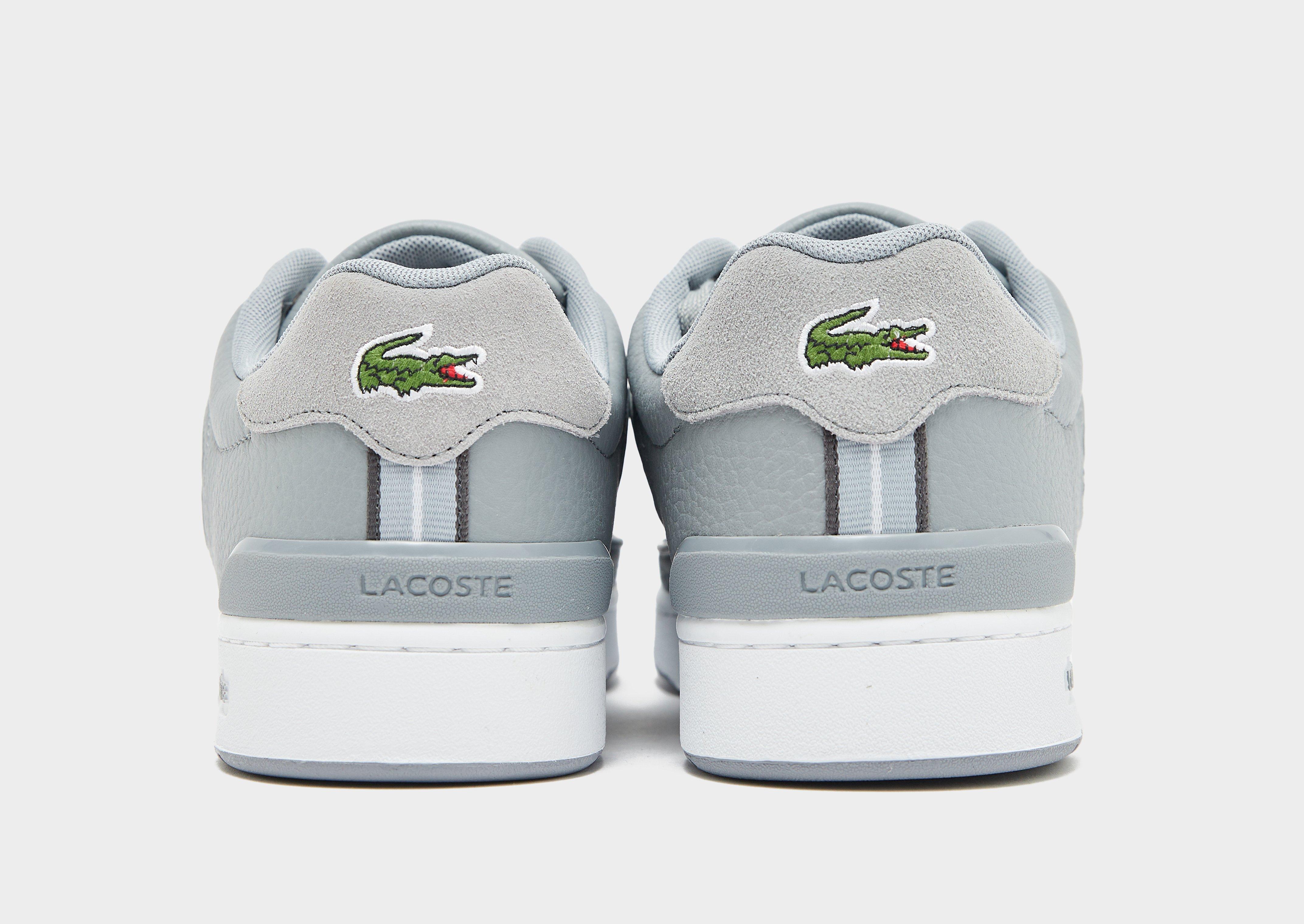 Lacoste deviation grey store