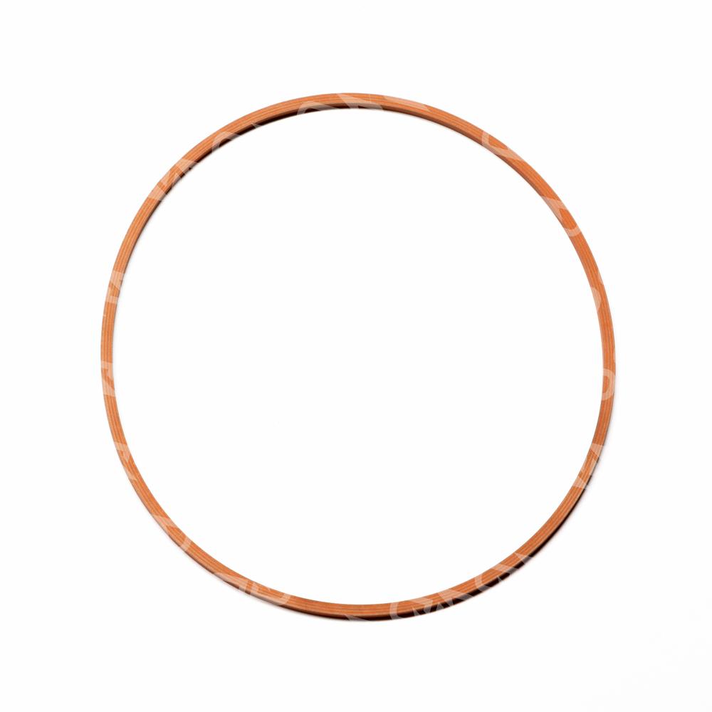 Detroit Seal Ring DDE 23535507 | Diesel Dash