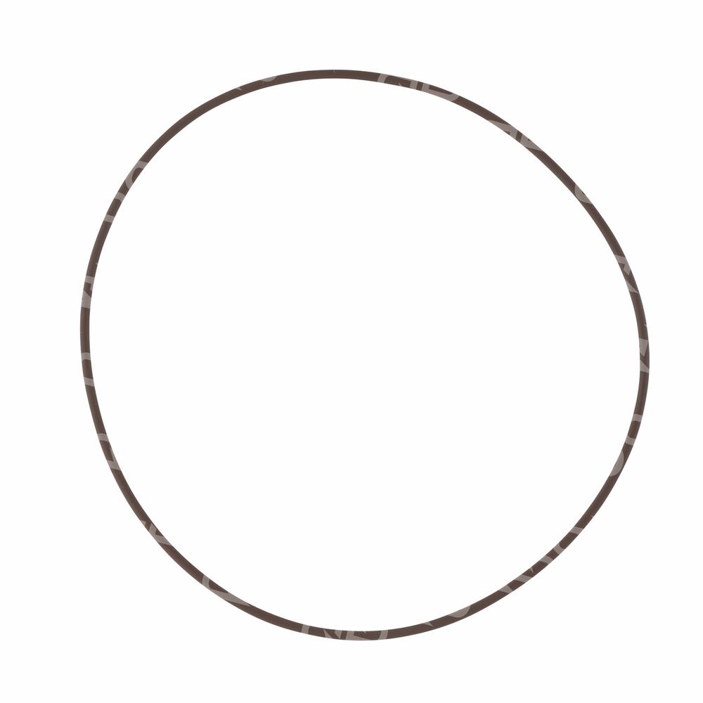 Allison Transmission Accumulator Cap Seal, 1.78 mm ID 29534489 | Diesel ...