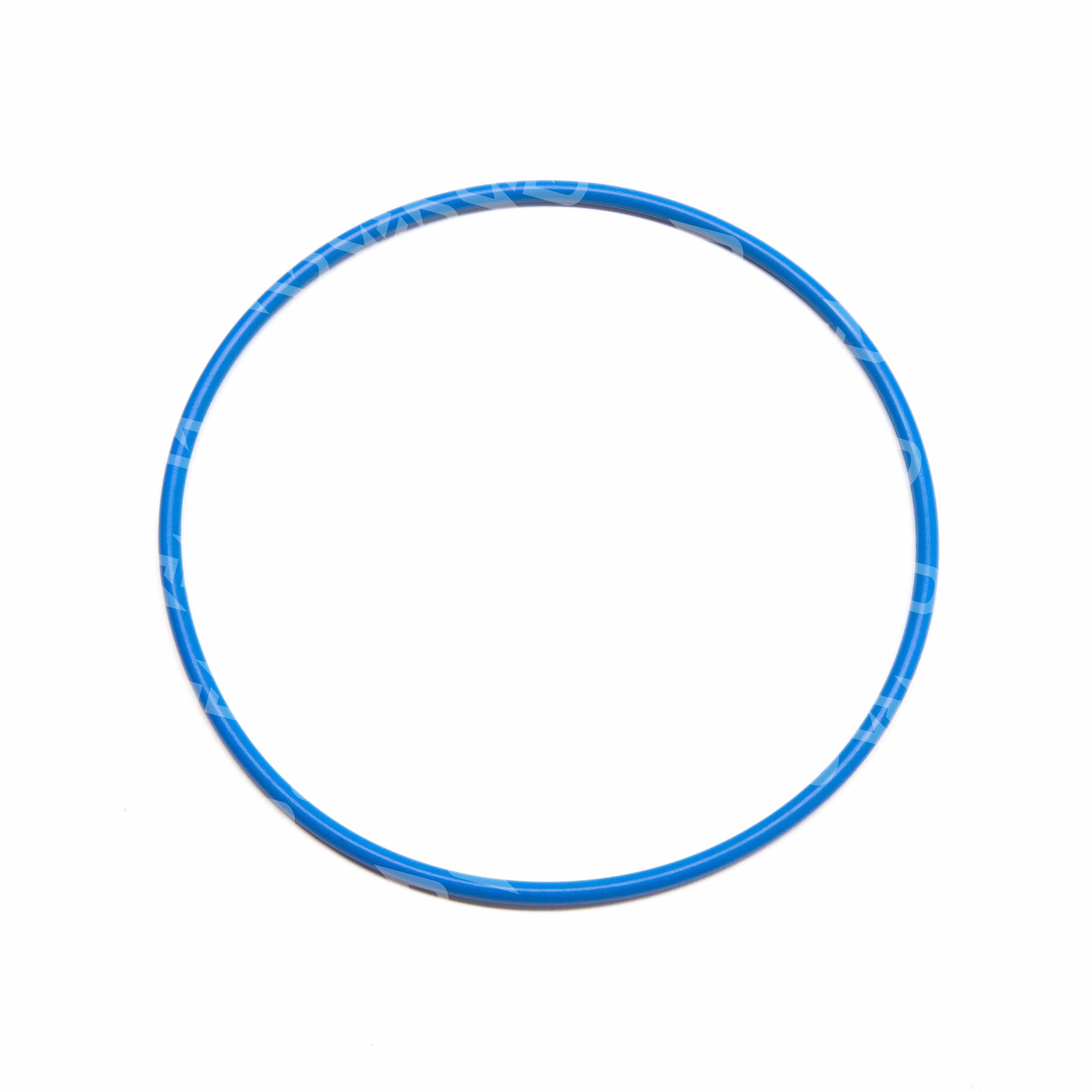 Detroit Accessory Drive Fuel Pump Seal Ring, 0.139 x 4.484 DDE 08929253 ...