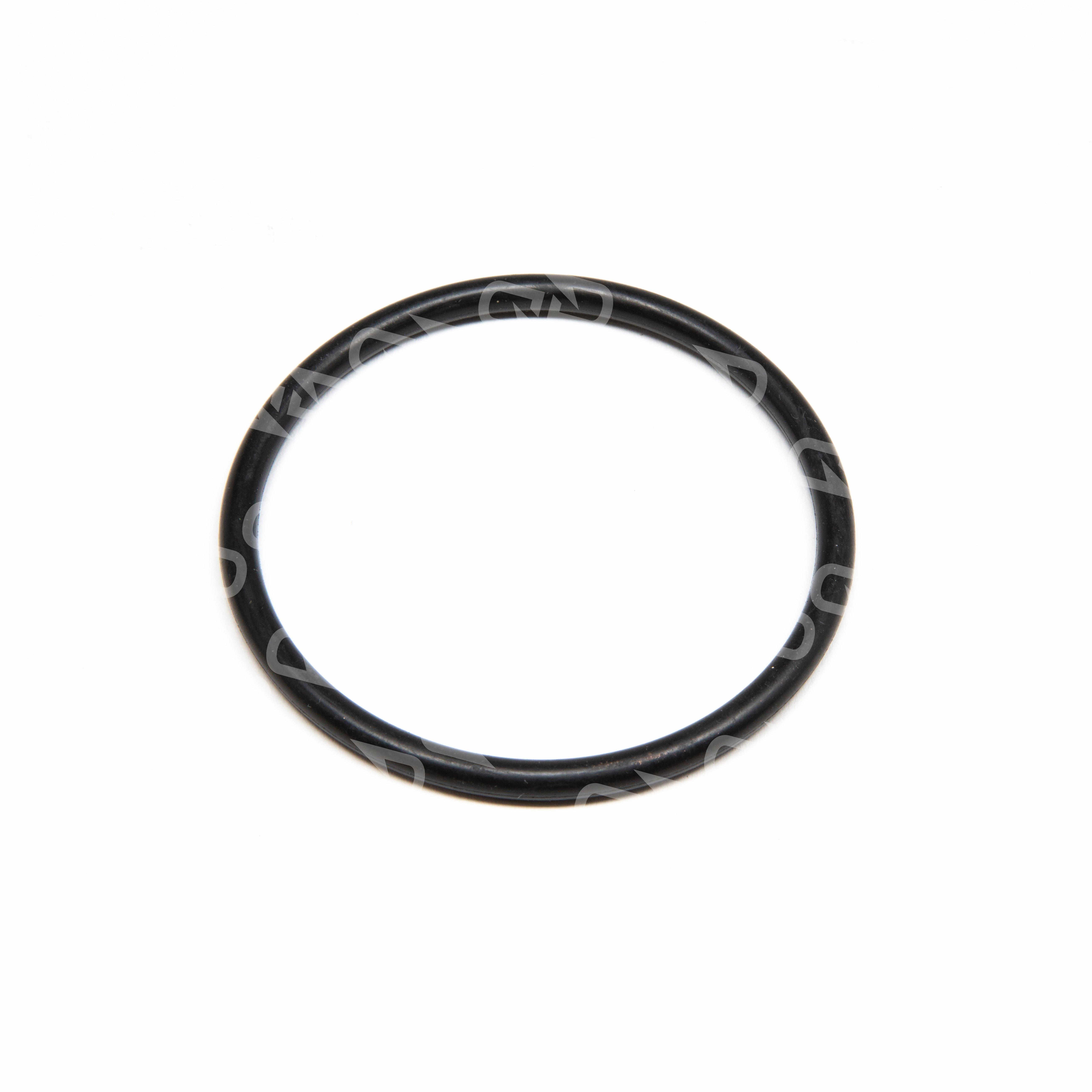 Detroit O-Ring DDE A0209971148 | Diesel Dash