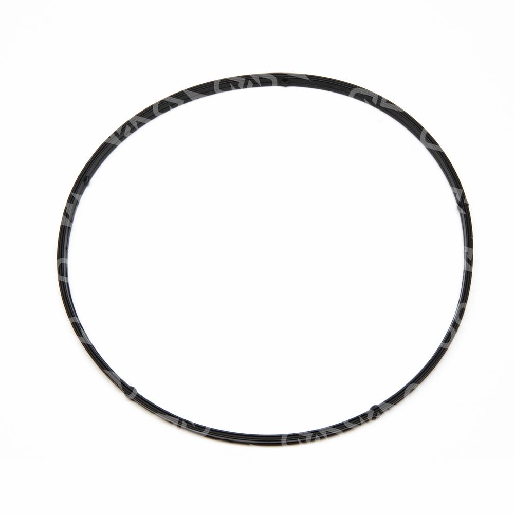 Detroit Thermostat Housing Seal DDE A4722030080 | Diesel Dash