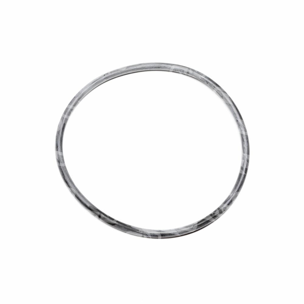 Detroit O-Ring DDE A4729970845 | Diesel Dash