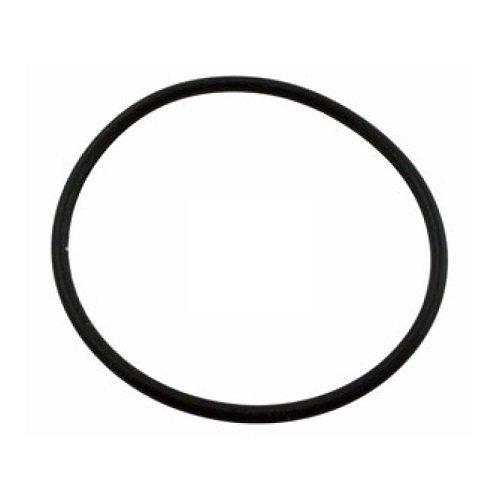 Pentair Diffuser O-Ring 355331Z | Leslie's Pool Supplies