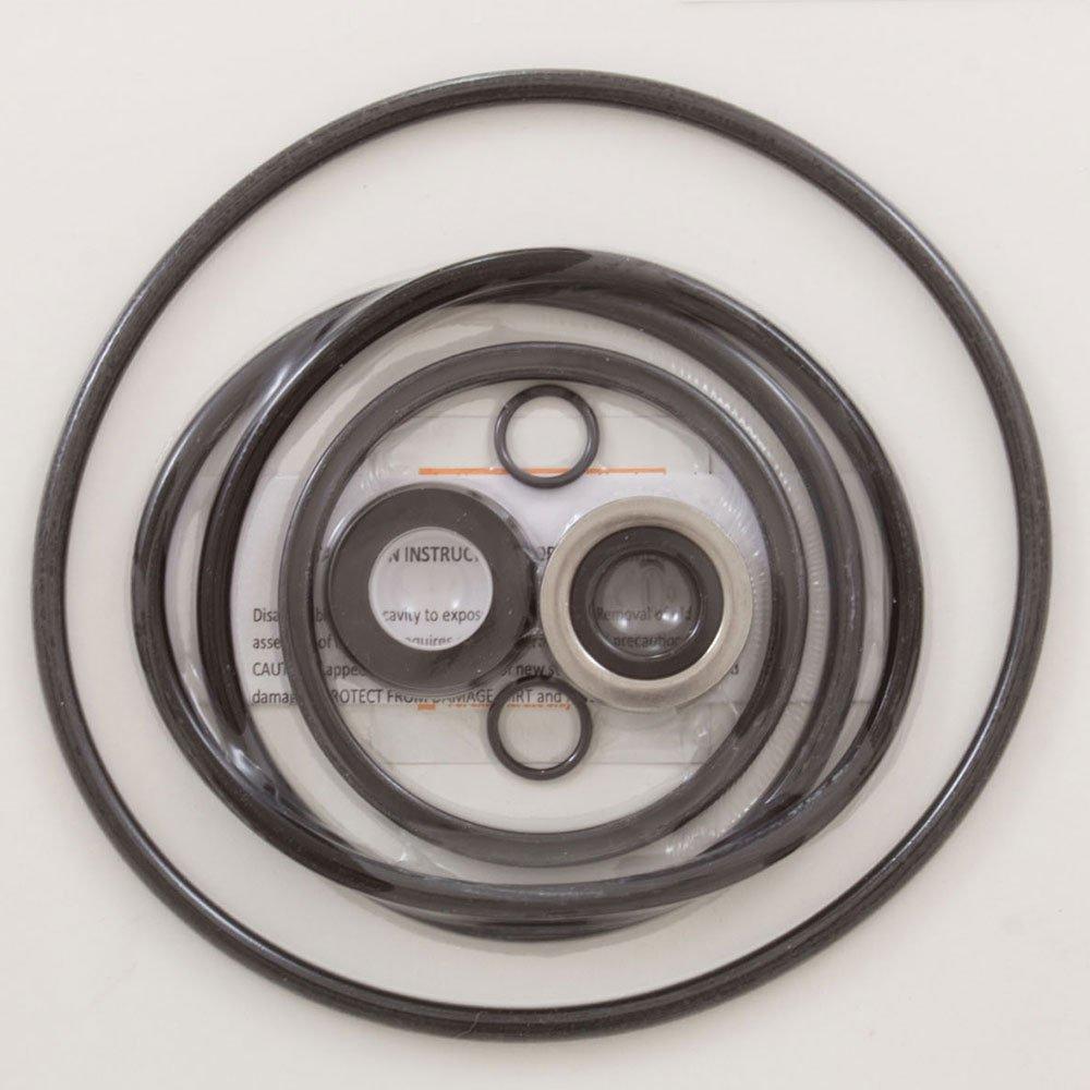 All Seals O-Ring Kit Pentair SuperFlo Pump Rebuild Kit | Leslie's Pool ...