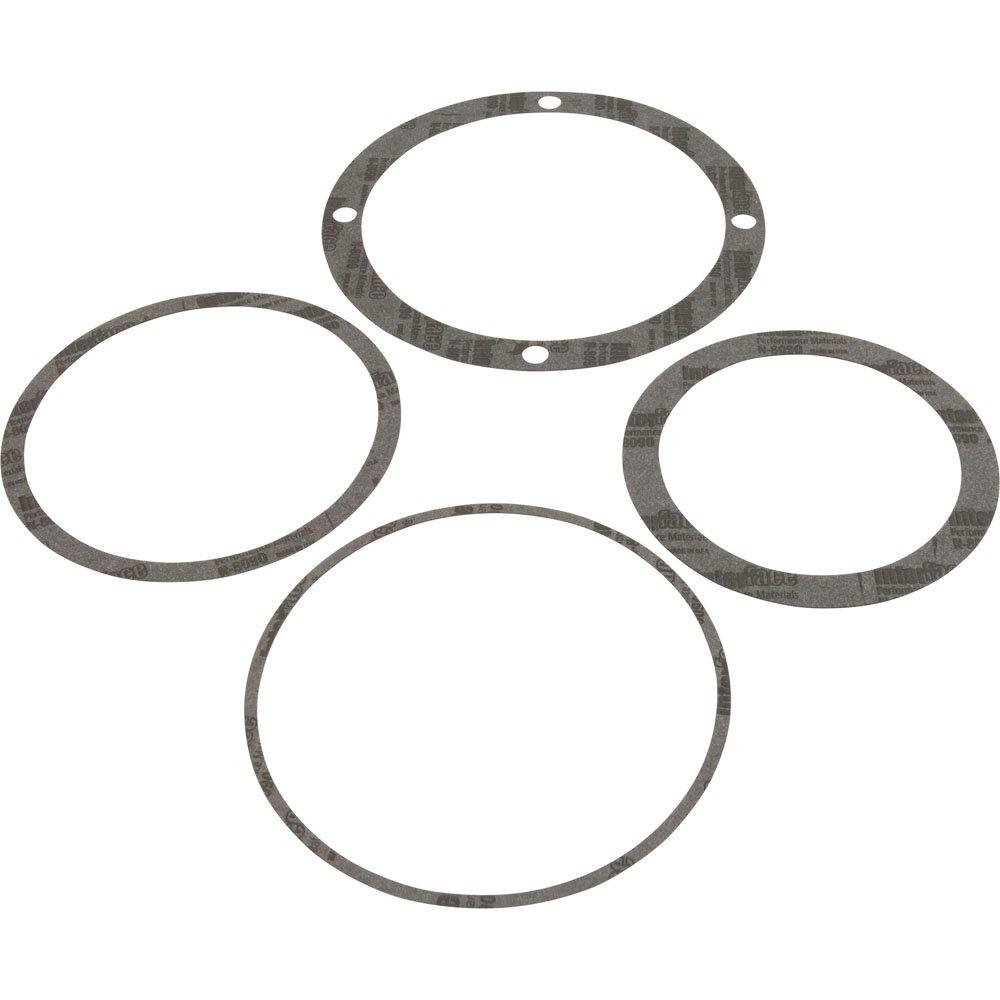 Pentair - Seal and Gasket Replacement Kit