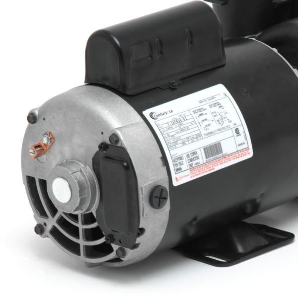 Executive 56-Frame 3HP Dual-Speed Spa Pump, 2-1/2in. Intake, 2in ...