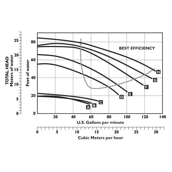 Dyna-Pro Energy Efficient Single Speed Up Rated 1HP Pool Pump, 115V/230V | Leslie's Pool Supplies