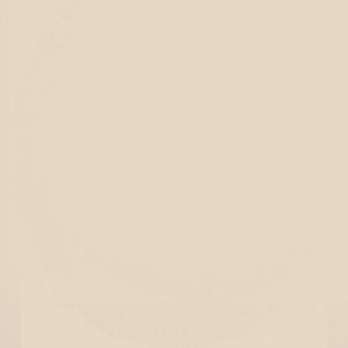 Pentair Wallsprings Rosette Round Natural | Leslie's Pool Supplies