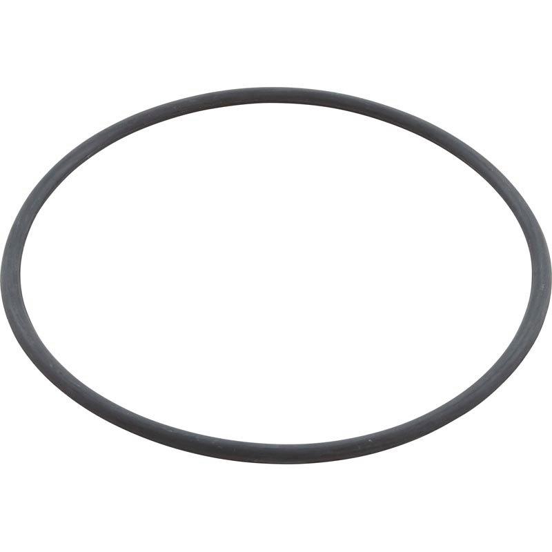 Speck Pumps Lid O-Ring 2901141201 | Leslie's Pool Supplies