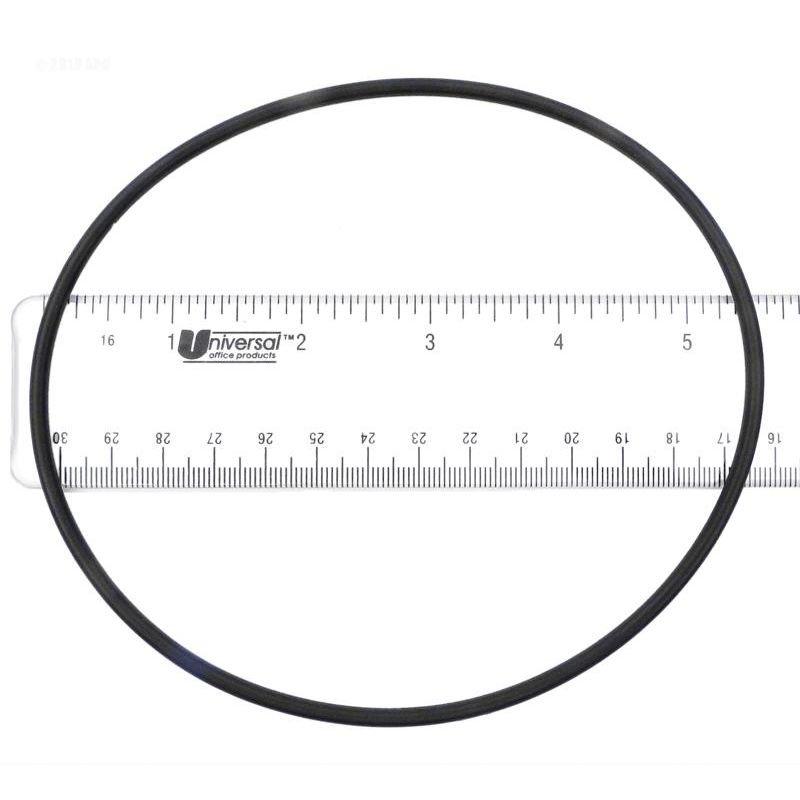 O-Ring, Cap | Leslie's Pool Supplies