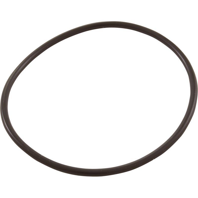 Hayward O-Ring for Salt Cell | Leslie's Pool Supplies