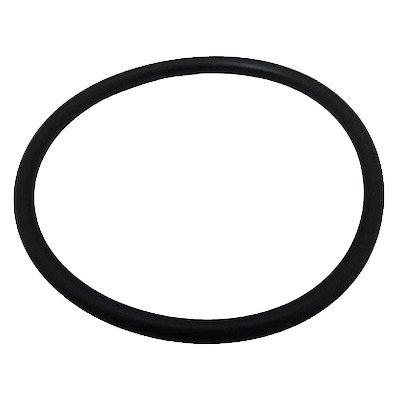 Pentair O-Ring for Sta-Rite Dynamo Pool and Spa Pumps | Leslie's Pool ...