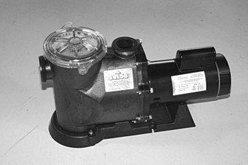 Waterway 2 HP Max Rate Single Speed In-Ground Pool Pump | Leslie's Pool ...