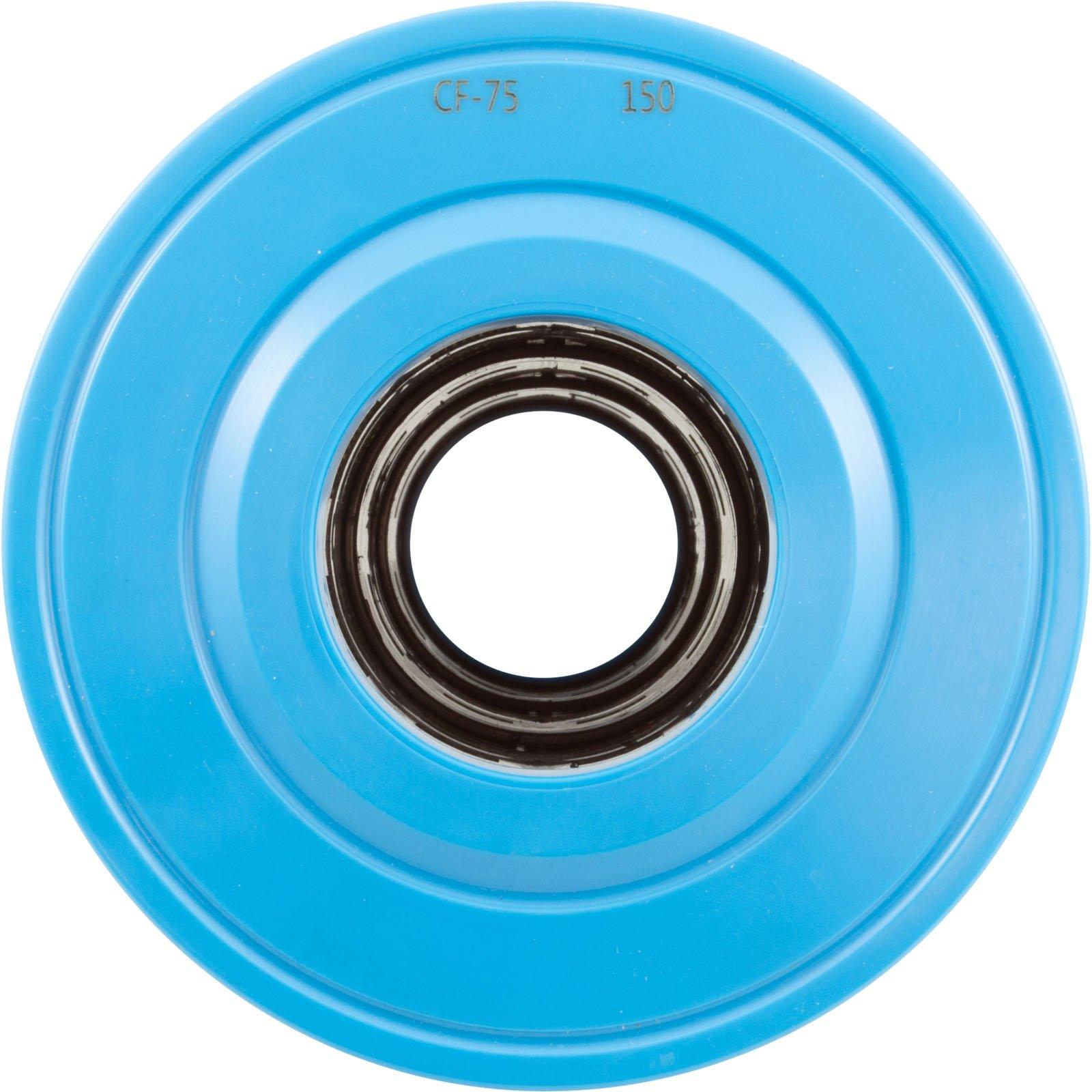 Raypak Protege RPCFP75 Replacement Filter Cartridge 75 sq. ft. | In The ...