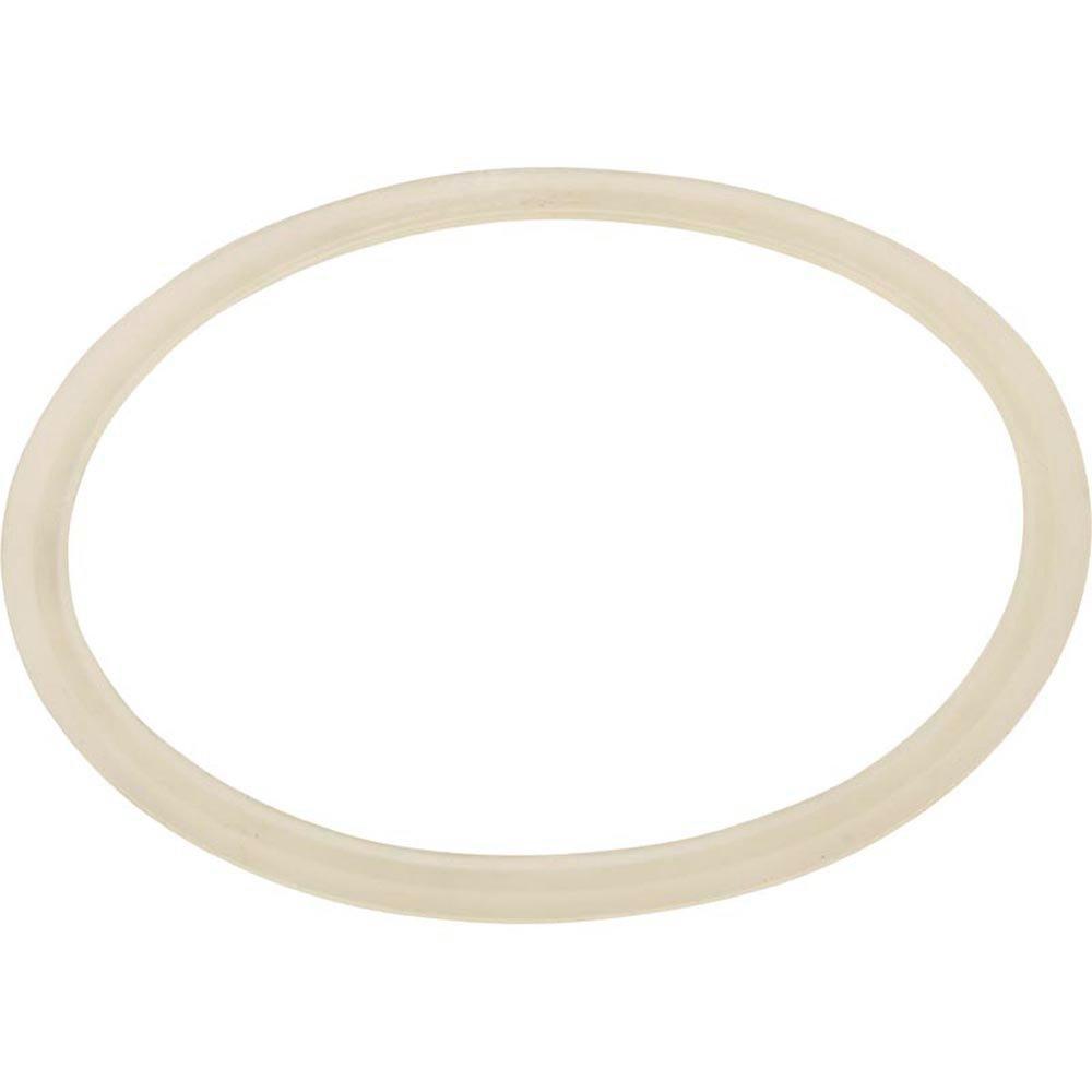 CMP Skimmer Body Float Valve Gasket | Leslie's Pool Supplies