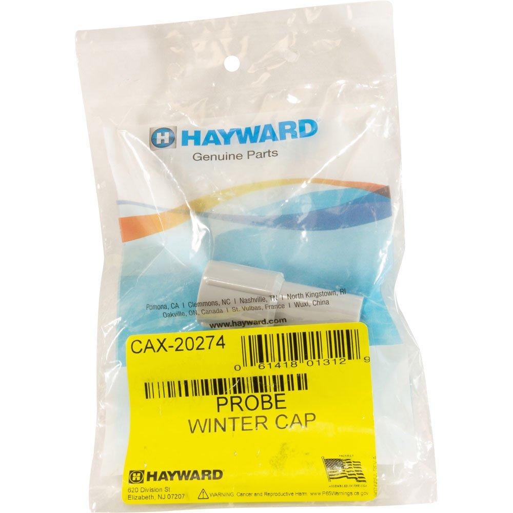 Hayward Probe-Cap,Winter | In The Swim
