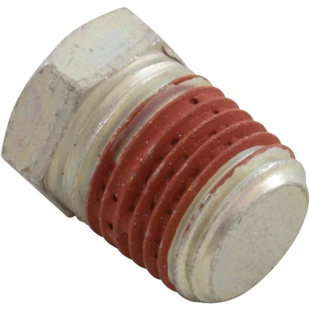 Pentair Pipe Plug 1/4" Npt Hex Hd | In The Swim