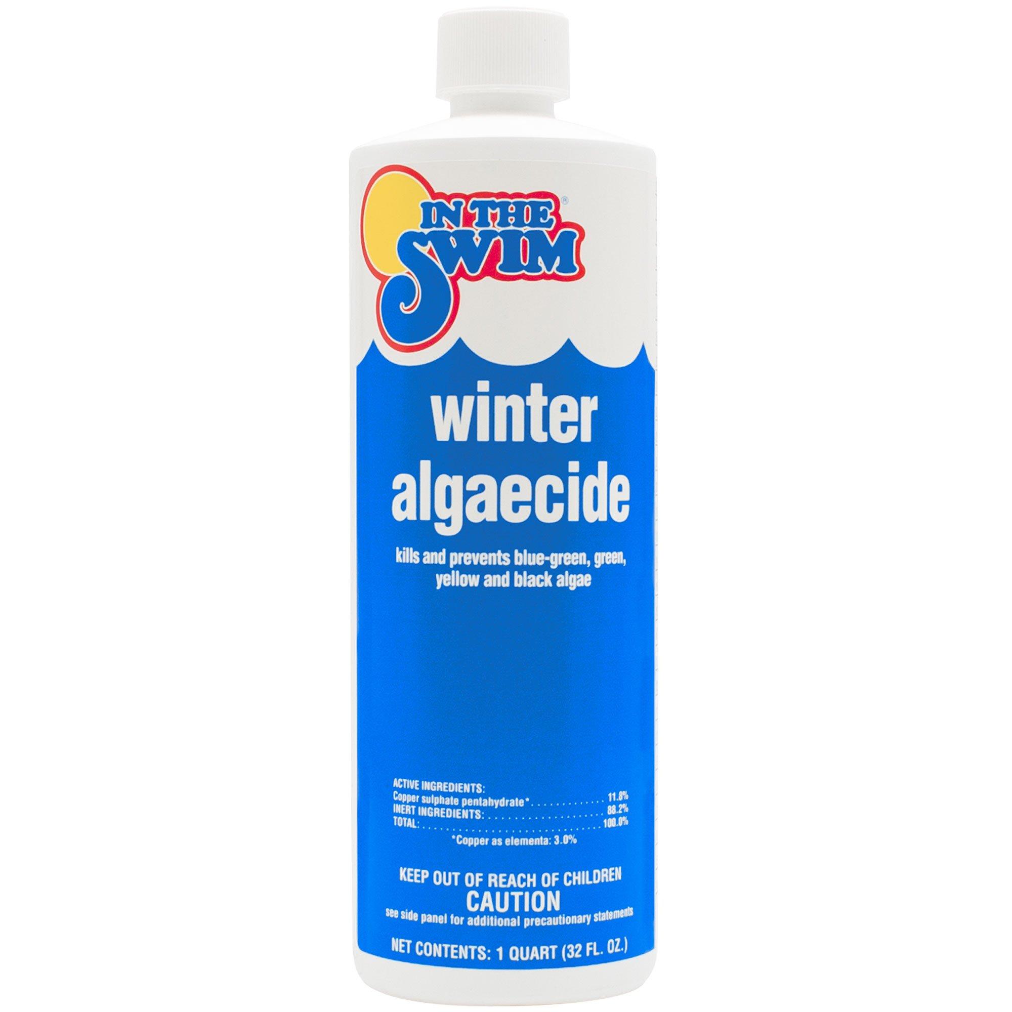In The Swim Winter Algaecide for Swimming Pools - Winterizing Pool ...