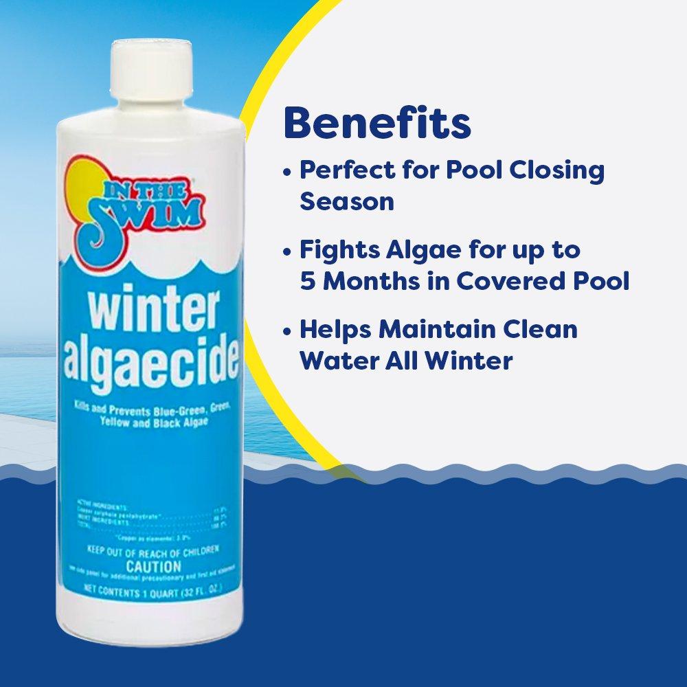 In The Swim Winter Algaecide for Swimming Pools - Winterizing Pool ...