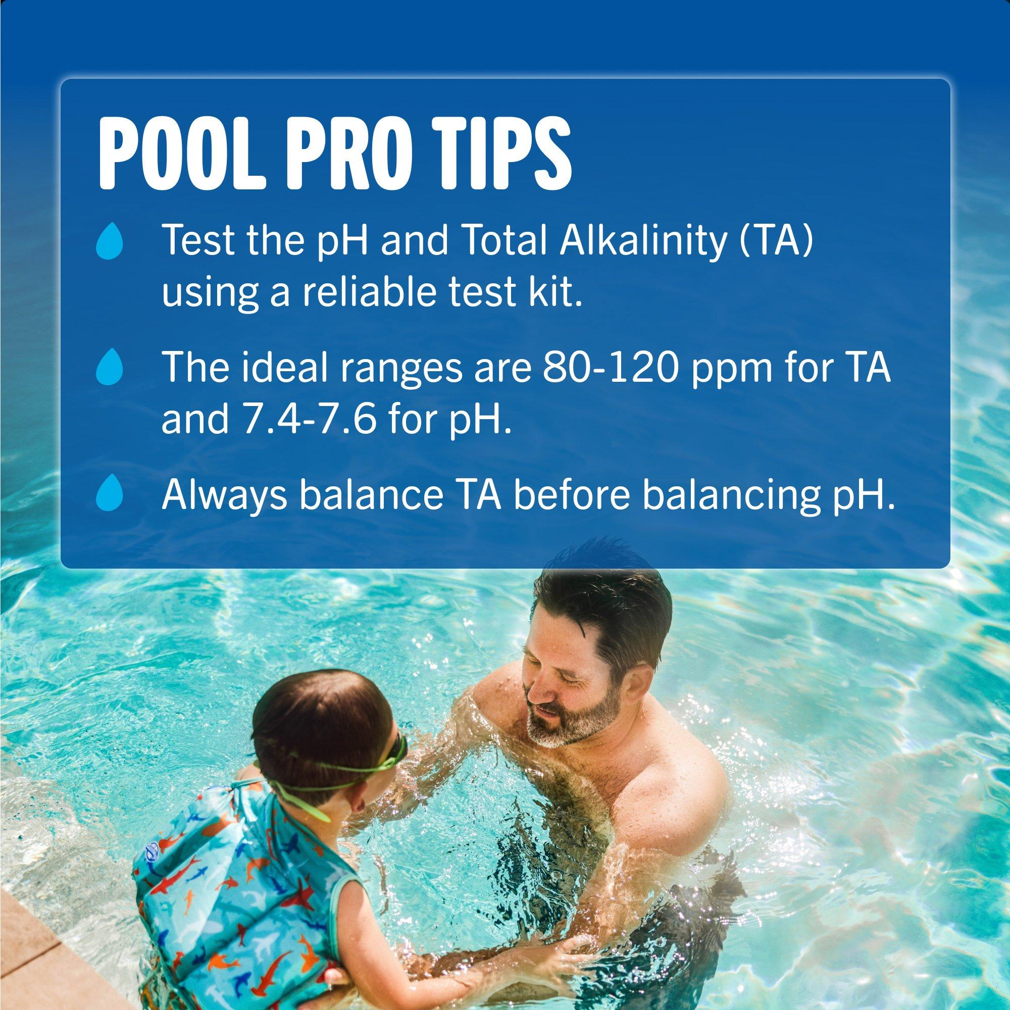 Leslie's Dry Acid pH Down 2 lb | Leslie's Pool Supplies