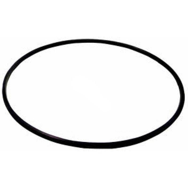 DEX2422Z2 Replacement Metal Reinforced Seal for Hayward SwimClear ...