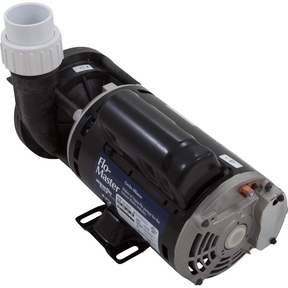 Gecko Aqua-Flo Flo-Master CP 3-4HP 120V Dual Speed 48 Frame Side ...