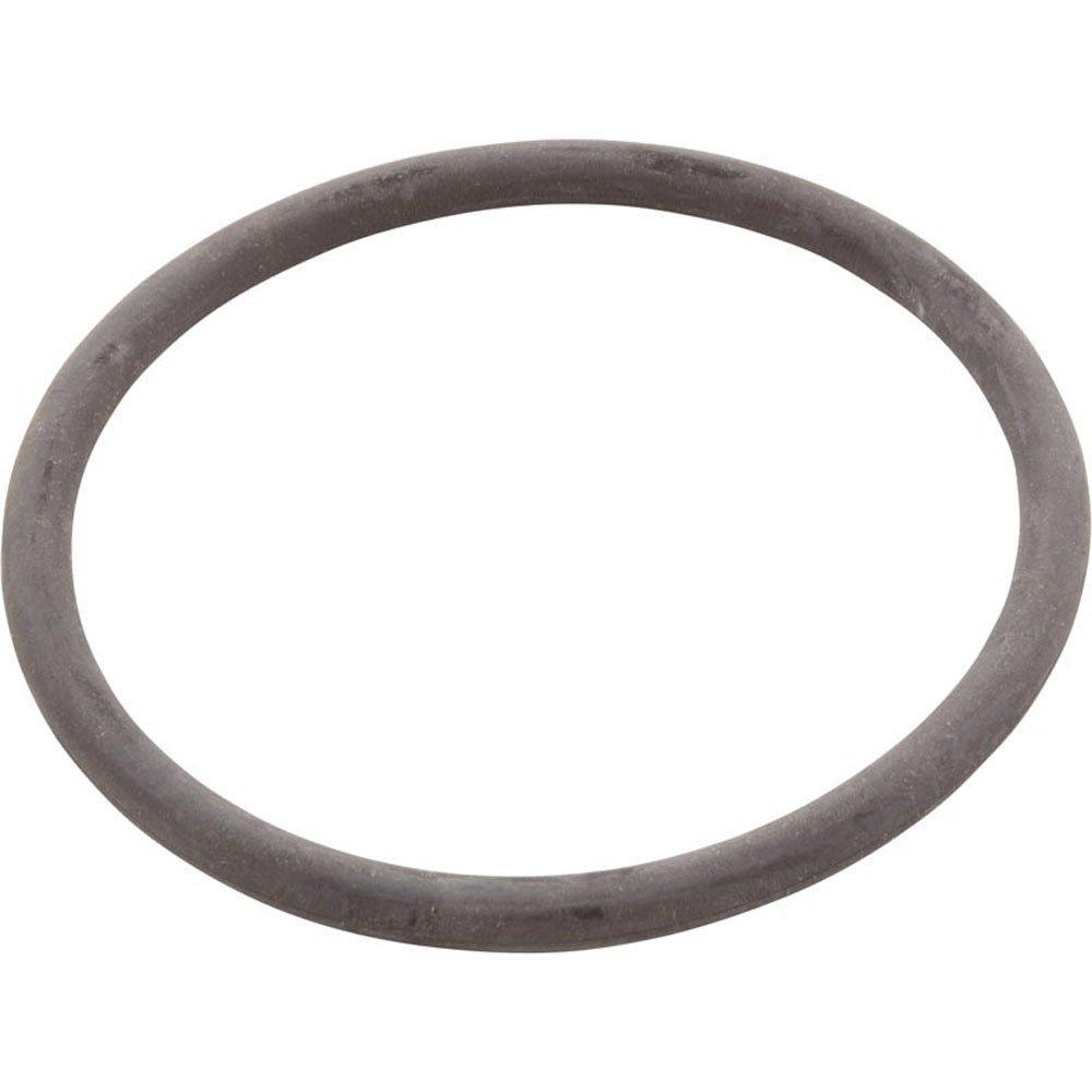 79128900 - PENTAIR POOL PRODUCTS - O-RING | Leslie's Pool Supplies