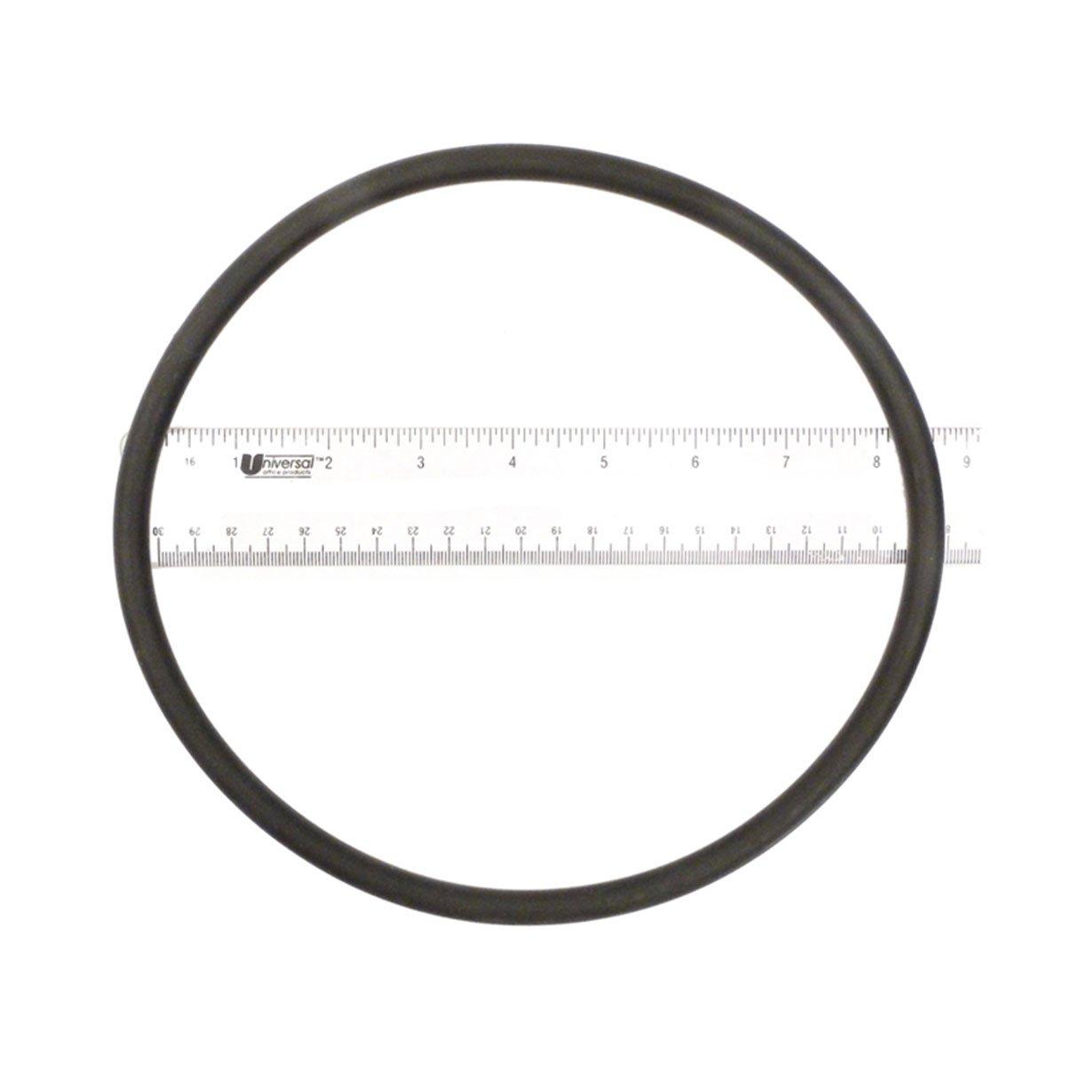 O-Ring - Multiple Uses | Leslie's Pool Supplies