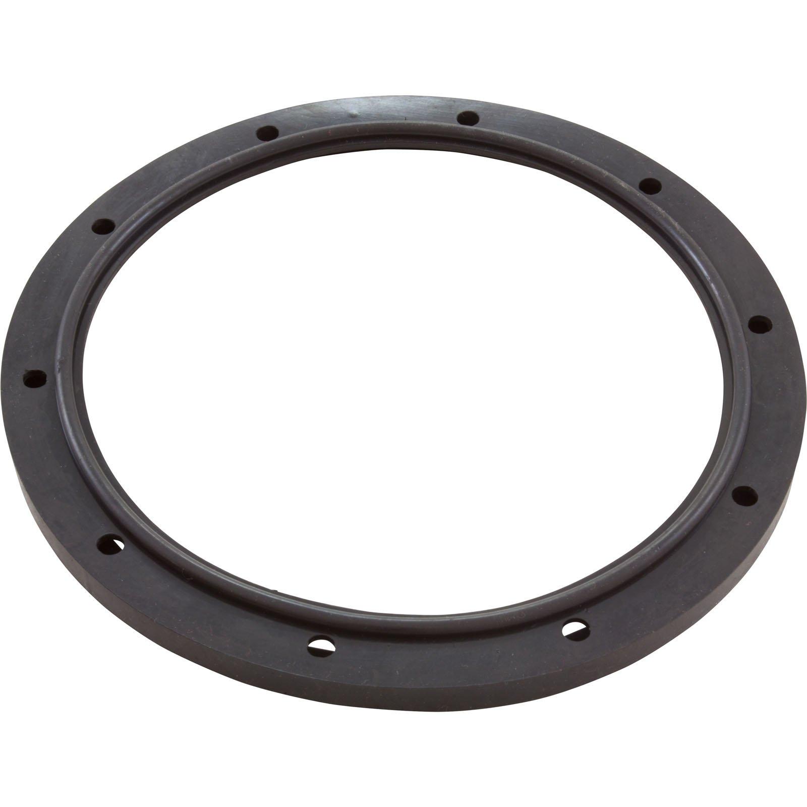 All Seals Replacement Light Lens Gasket for Sta-Rite/Swimquip | In The Swim