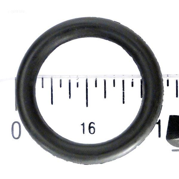 Hayward O-Ring Drain Plug | In The Swim