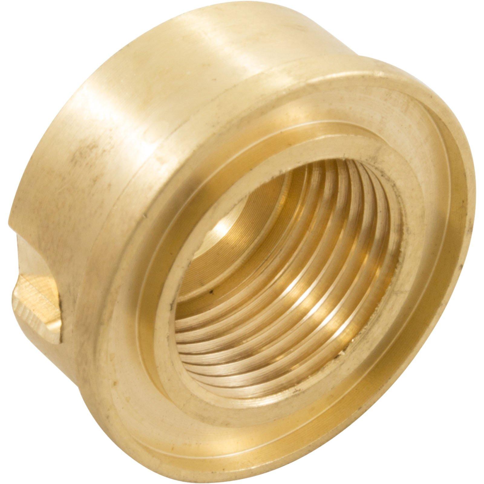 Jacuzzi Nut for Jacuzzi J-VSP150/250, Junction Box | Leslie's Pool Supplies