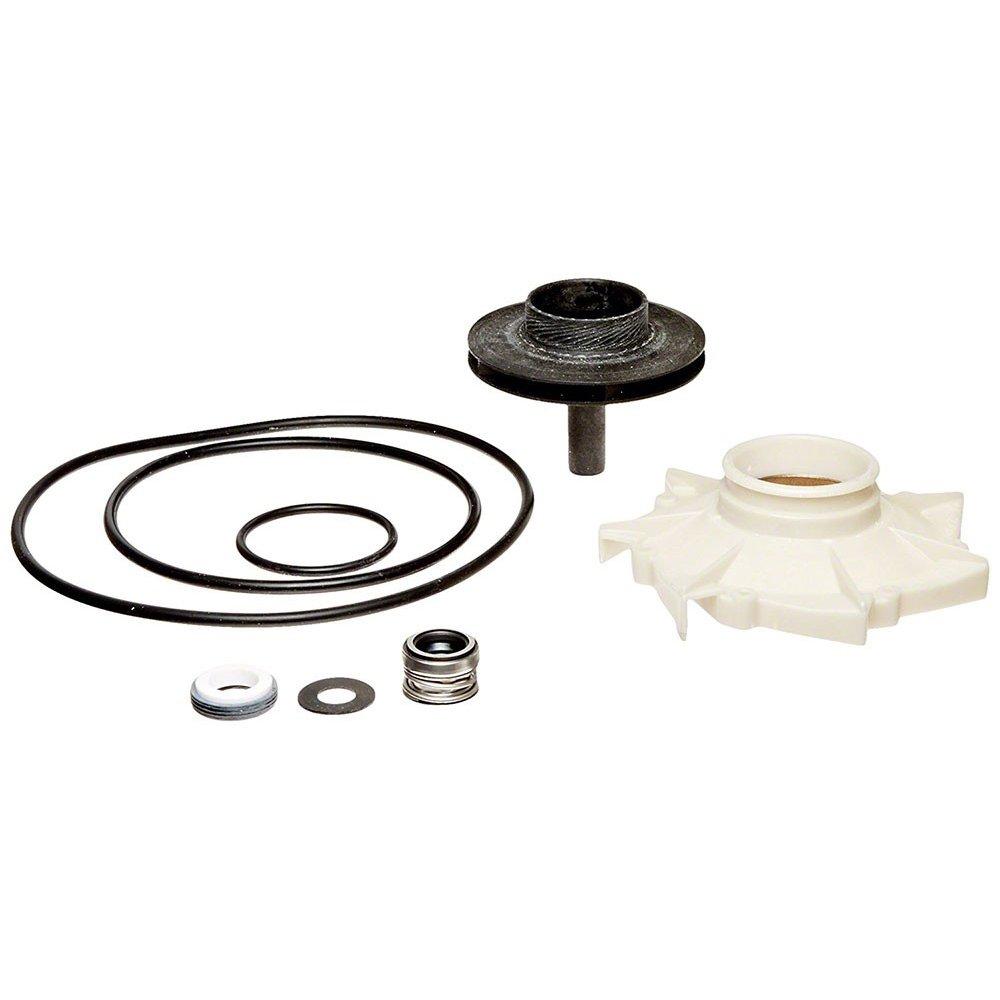 PP3013 - PENTAIR POOL PRODUCTS - PRTS PAK-DYNA-GLAS OVERHAUL KIT