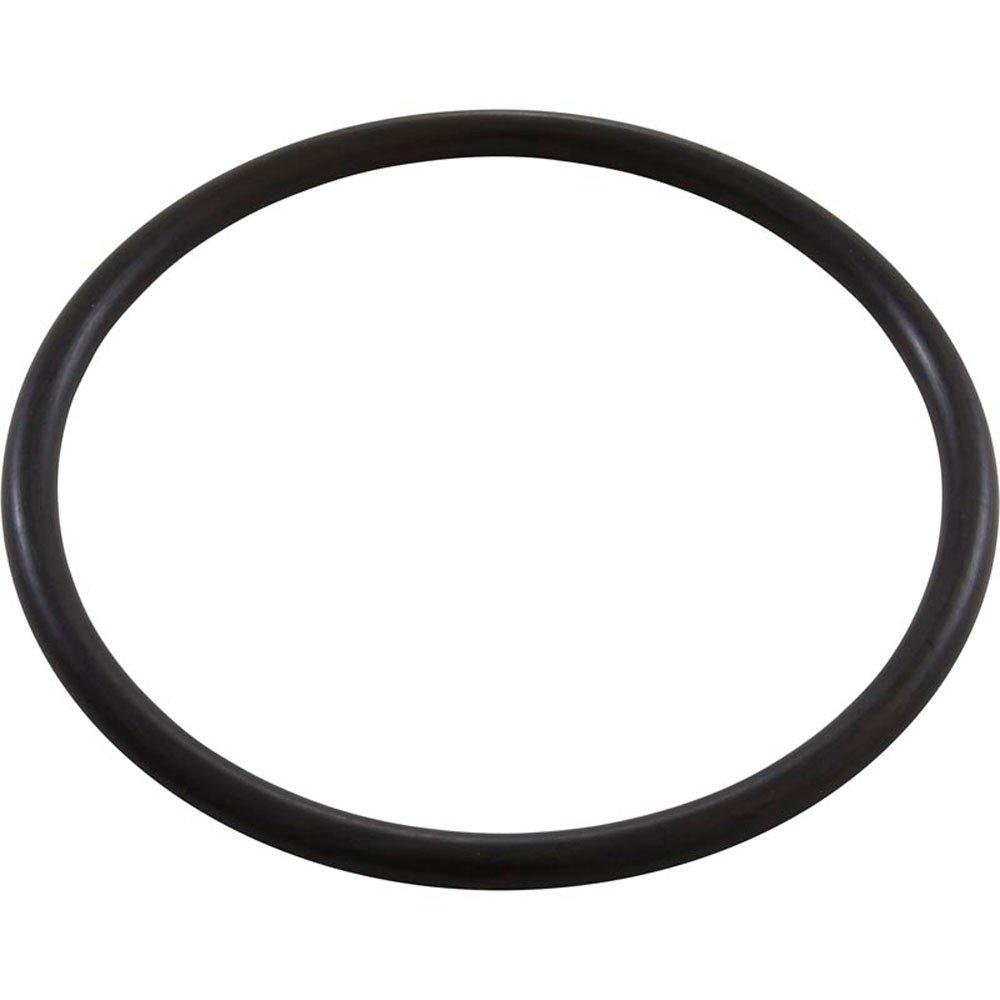 MAIN O RING | Leslie's Pool Supplies