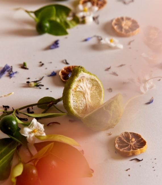 LBTY | Liberty Perfume | Liberty USA