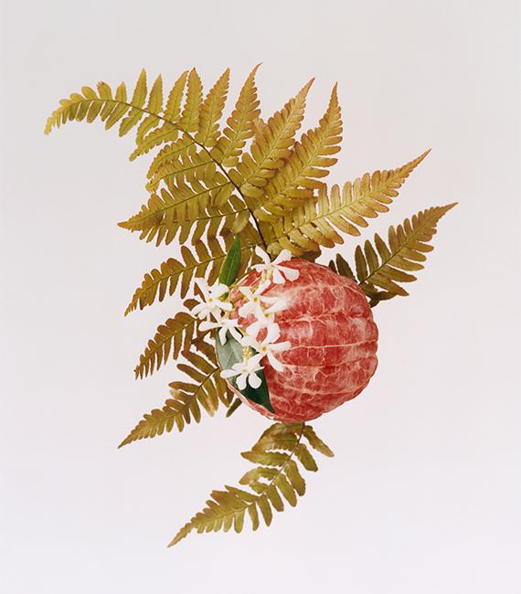 LBTY | Liberty Perfume | Liberty USA