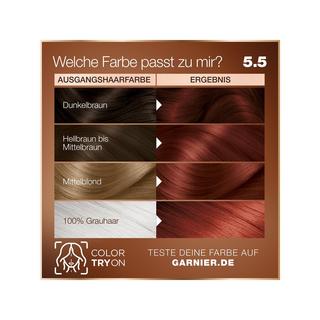 GARNIER Dauerhafte Haarfarbe | online kaufen - MANOR